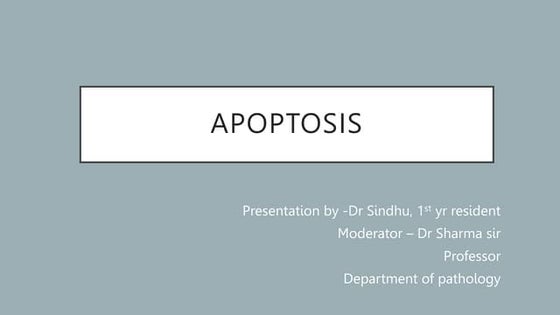 Intrinsic and Extrinsic Pathway of Apoptosis | PPT