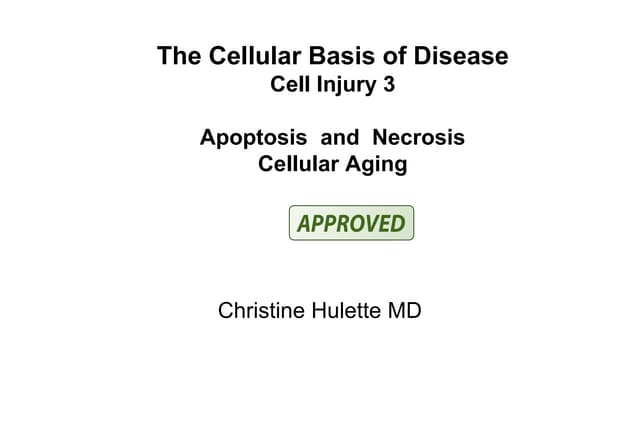 Necrosis and apoptosis | PPTX