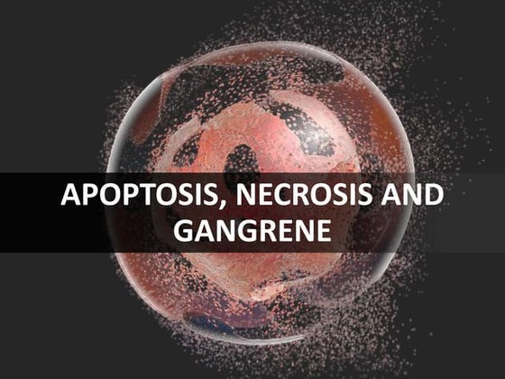 Necrosis | PPT