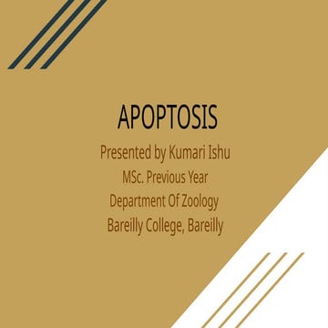 Apoptosis Or Programmed Cell Death Pptx
