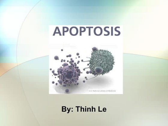 Apoptosis. | PPTX