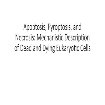 Apoptosis, Pyroptosis, and Necrosis Mechanistic Description of Dead and ...