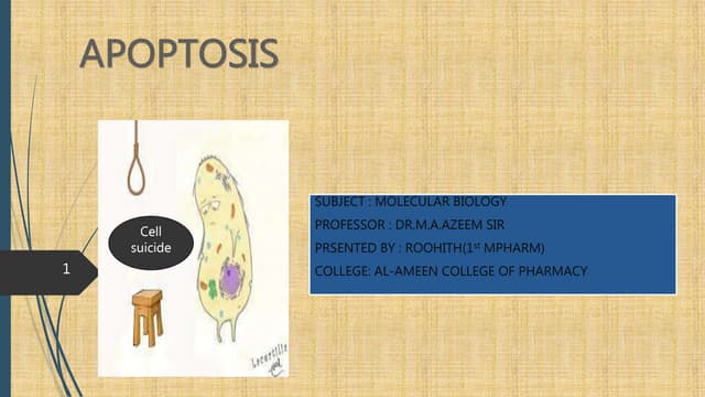 Apoptosis: Programmed Cell Death | PDF