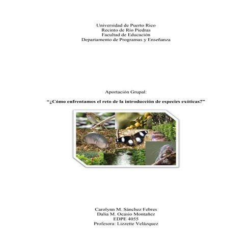 Aportación grupal. por, dalia m. ocasio y carolynn m. sánchez. (2) | PDF