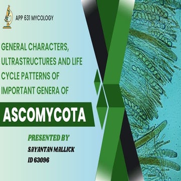 Fruiting bodies of Ascomycota | PPTX