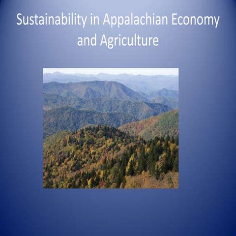 Appalachian Project Powerpoint | PPTX