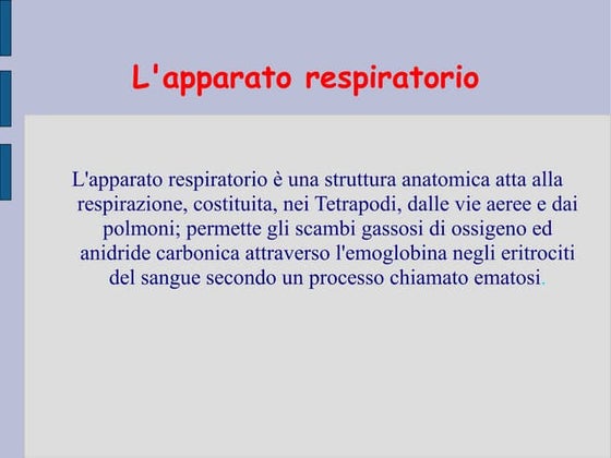 Apparato respiratorio | PPT | Ear, Nose and Throat Conditions ...