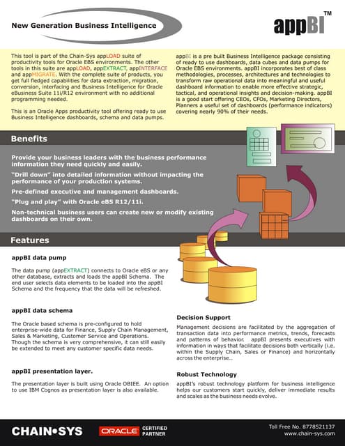 Biz Analyst Desktop App Setup | PDF