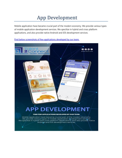 Web Application.pdf