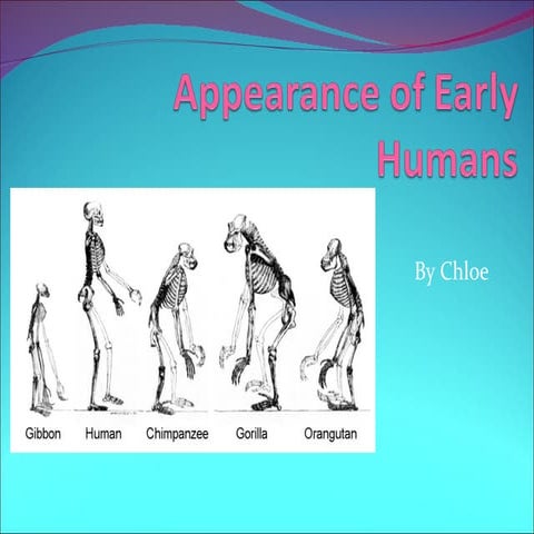 Chloe_Appearance of early humans | PPT