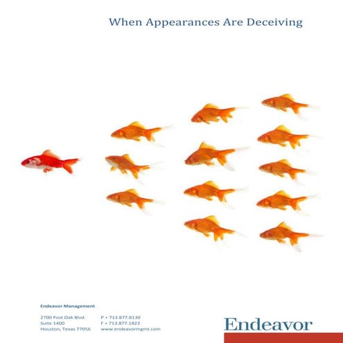 Appearences Are Decieving | PDF