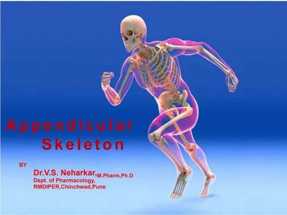 Human Skeletal System, Class 11 (Science).pptx