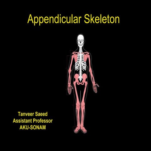 Appendicular skeleton | PPTX