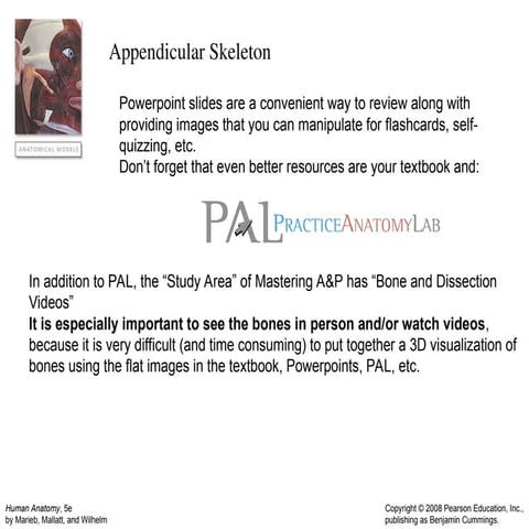 Appendicular Skeleton Updated that details the bones within the ...