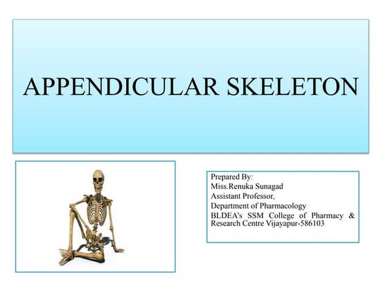 Appendicular skeleton | PPTX