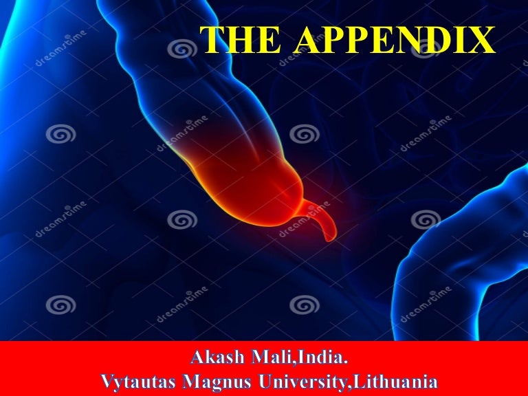 Appendix