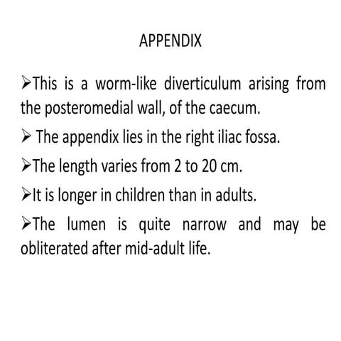 APPENDIX ( appendix anatomy first year ) | PPTX