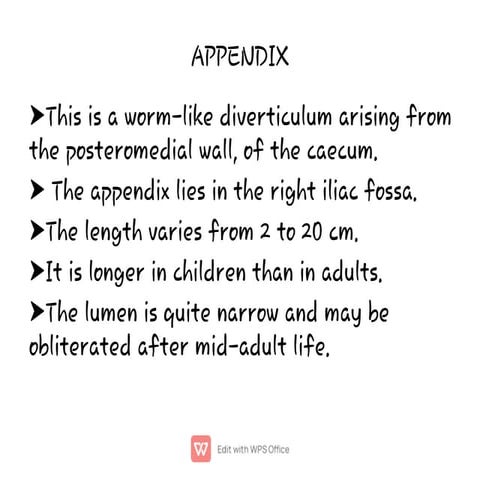 Anatomy of appendix | PPTX