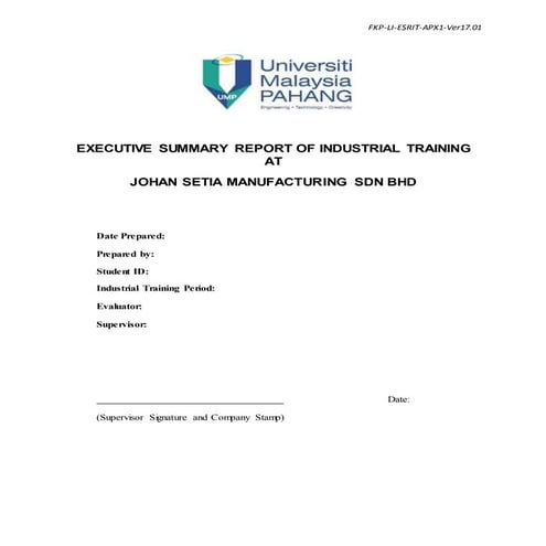 Appendix01 executive summary report format of industrial training fkp ...