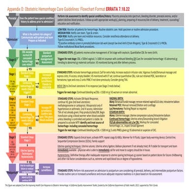 Appendix D Obstetric Hemorrhage Care Guidelines Flowchart Format Errata ...