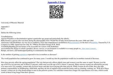 Appendix Example Essay