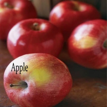 Apple | PDF