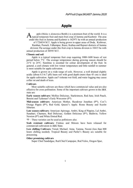 Production Technology Of Apple | PPTX