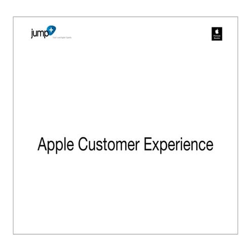 Customer experience - Apple style | PDF