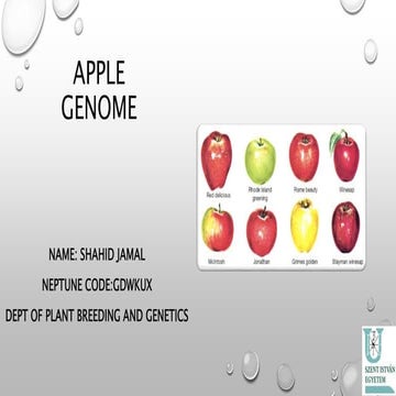Apple genome | PPTX