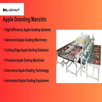 Apple Grading Machine Manufacturer in India.pptx