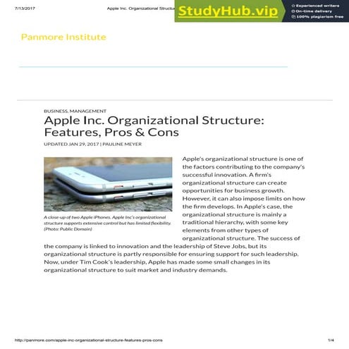 Apple Inc | PDF