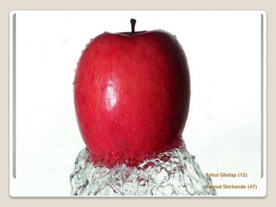 All Things You Need To Know About The New iPhone 14.ppt