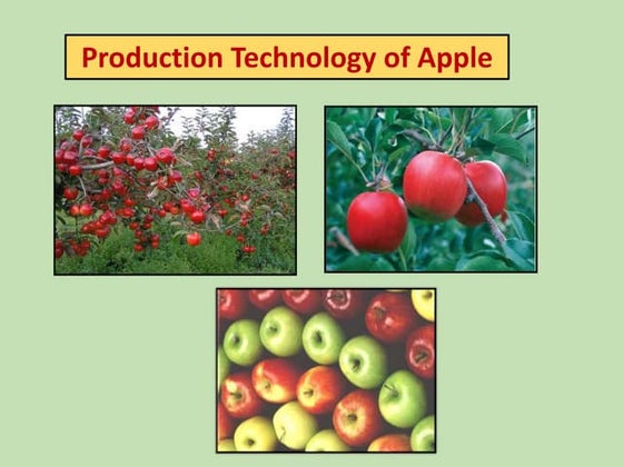 Production Technology Of Apple | PPTX