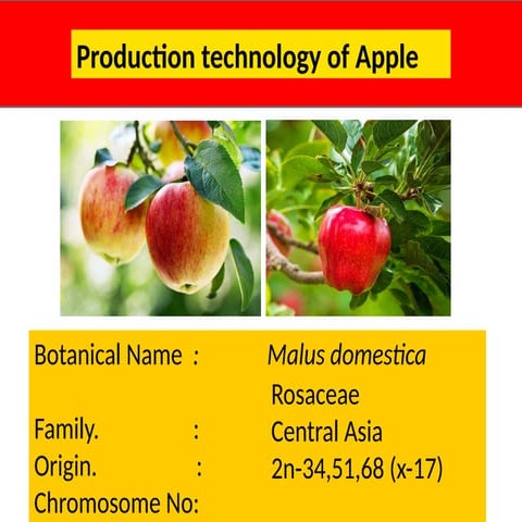Production technology of Apple.......ppt