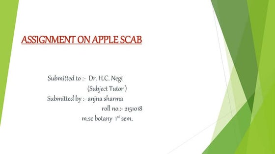 Apple scab disease | PPT