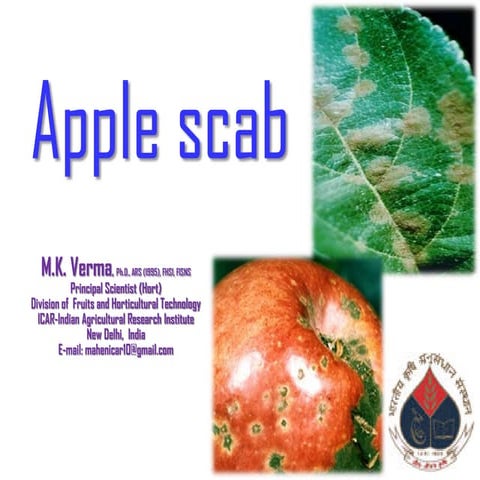 Apple scab lecture final 2018 | PDF