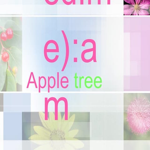 Apple Tree | PPT