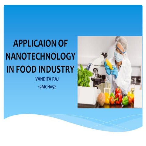 Nanotechnology In Food Products