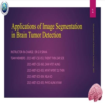 Application Of Image Segmentation In Brain Tumor Detection Ppt
