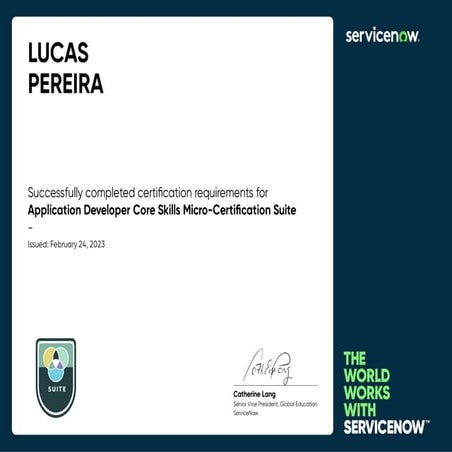 Application Developer Core-Skills Micro-Certification Suite | PDF