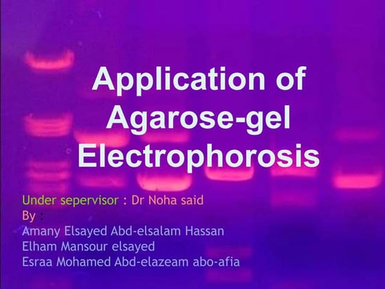 Pulse Field Gel Electrophoresis (PFGE) | PPT