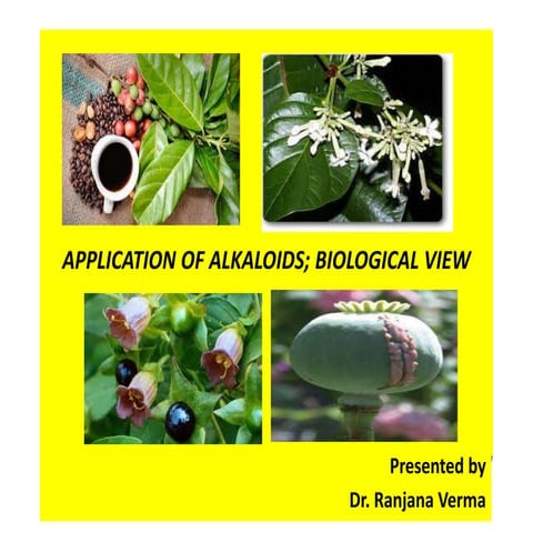 Application of alkaloids; biological view | PPT