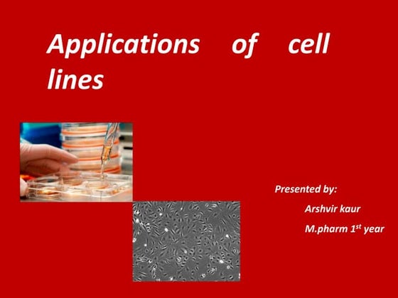 Mtt Assay for cell viability | PPT