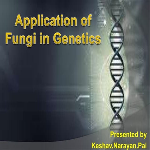 Application of fungi in genetics | PPTX