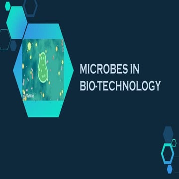 Applications of Microbial biotechnology.pptx | Biotech and Biomedical ...