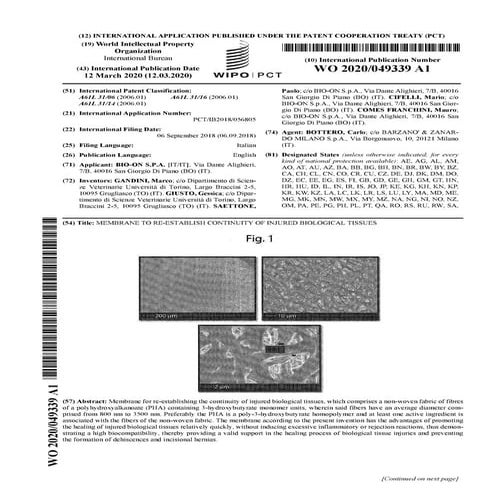 MEMBRANE TO RE-ESTABLISH CONTINUITY OF INJURED BIOLOGICAL TISSUES | PDF