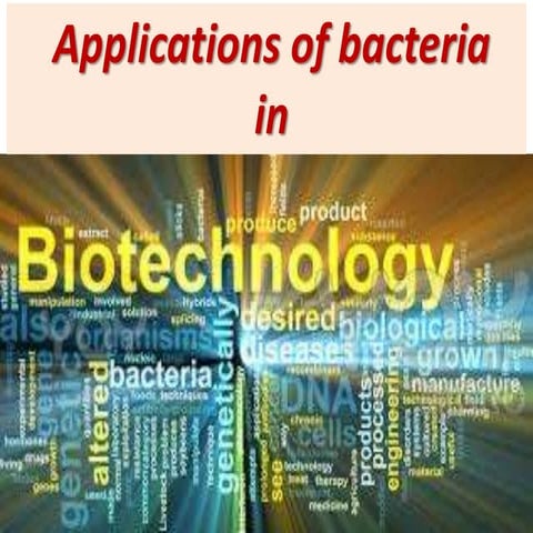Applications of bacteria in biotechnology. | PPTX