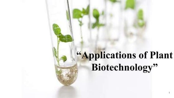 Plant Biotechnology: Introduction, Scope and Application | PPT