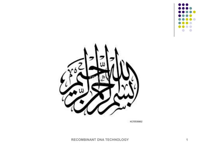 Applications Of Recombinant Dna Tech By Faiza Iqbal Ppt