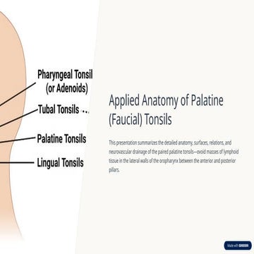 Anatomy of tonsil and oropharynx | PPTX